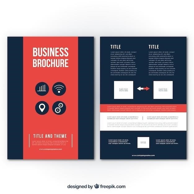 BOSS RE-202 Manual: The Ultimate Guide